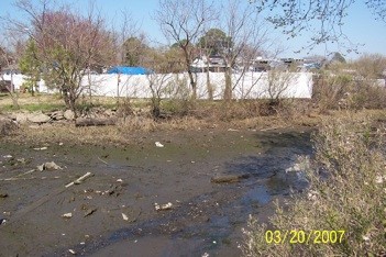 How The City of Norfolk, VA Revitalized the Natural Environment